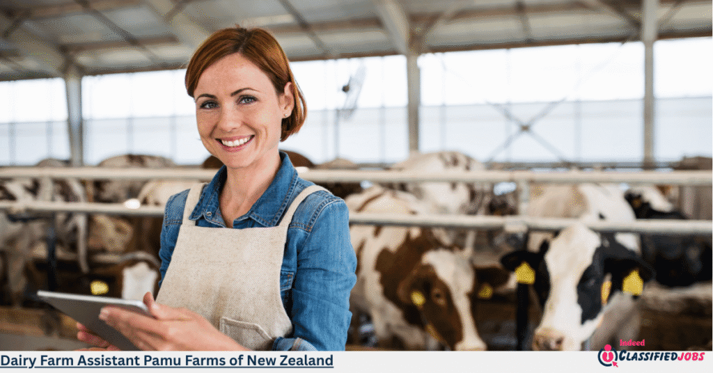 Dairy Farm Assistant Pamu Farms of New Zealand – indeed classified jobs